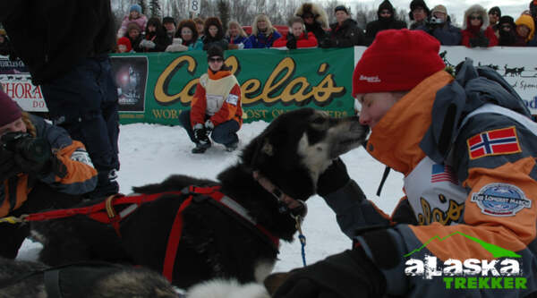 Alaska Events Calendar Iditarod and Fur Rondy State Fair
