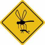 Alaska mosquito guide myths and facts - Mosquito Tips