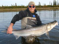 Alaska Fish Species Fishing in Alaska is the angler's dream